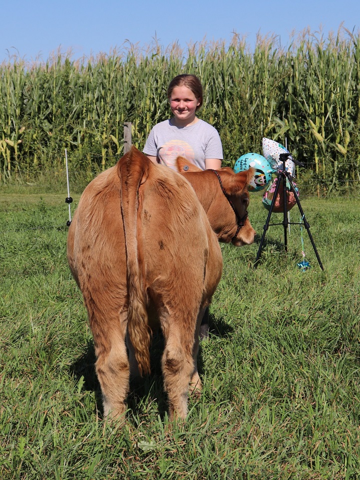 Specht Family Simmentals